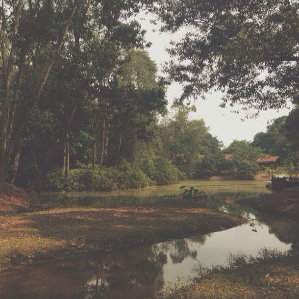 7 Taman Rekreasi Yang Perlu Lawat Di Johor Bahru – DISCOVER JB // 盡在新山