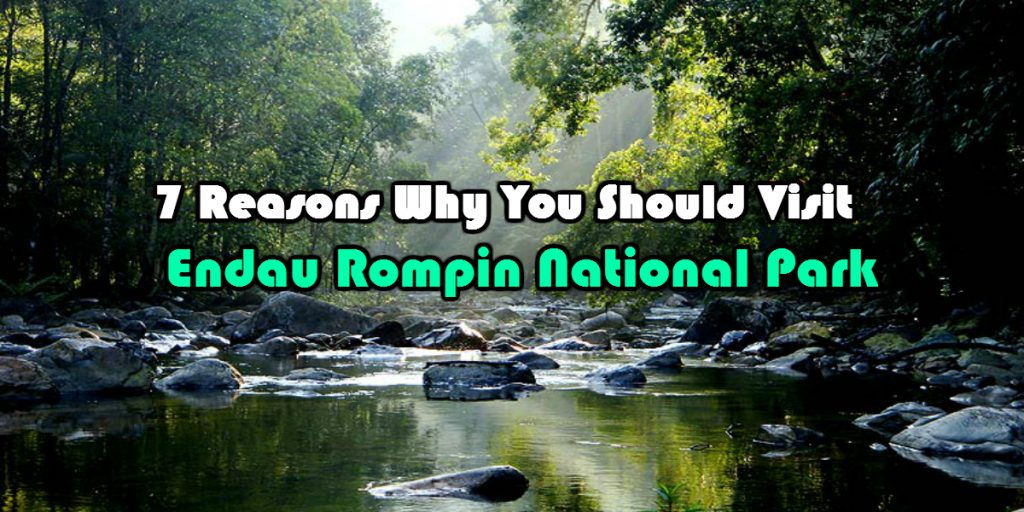 7 Reasons Why You Should Visit Endau Rompin National Park - DISCOVER JB ...